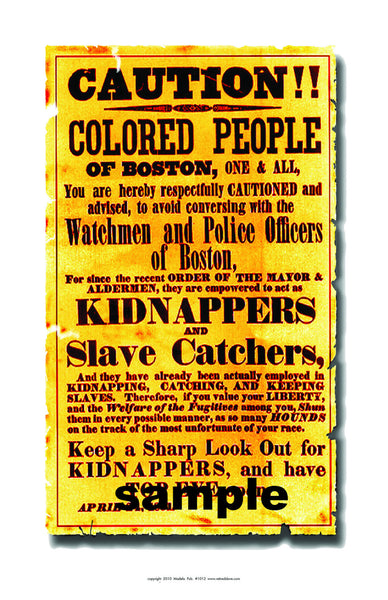 fugitive slave poster